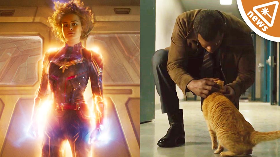 This Fan Theory About CAPTAIN MARVEL’s Cat and Nick Fury Is Too Perfect ...