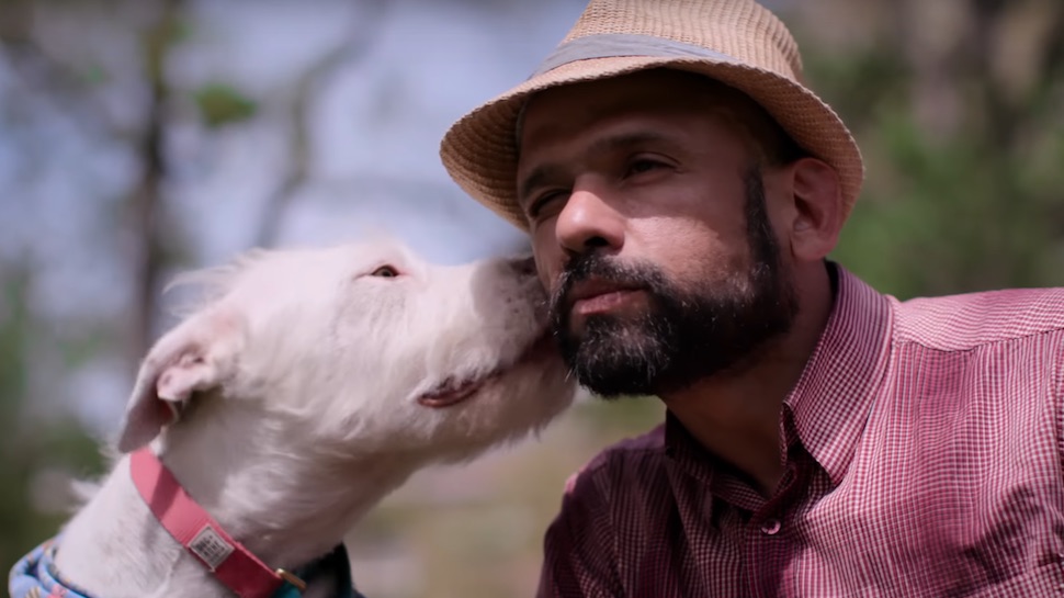 First Look at Netflix's DOGS Is a Very Good Trailer, Yes it Is! - Nerdist