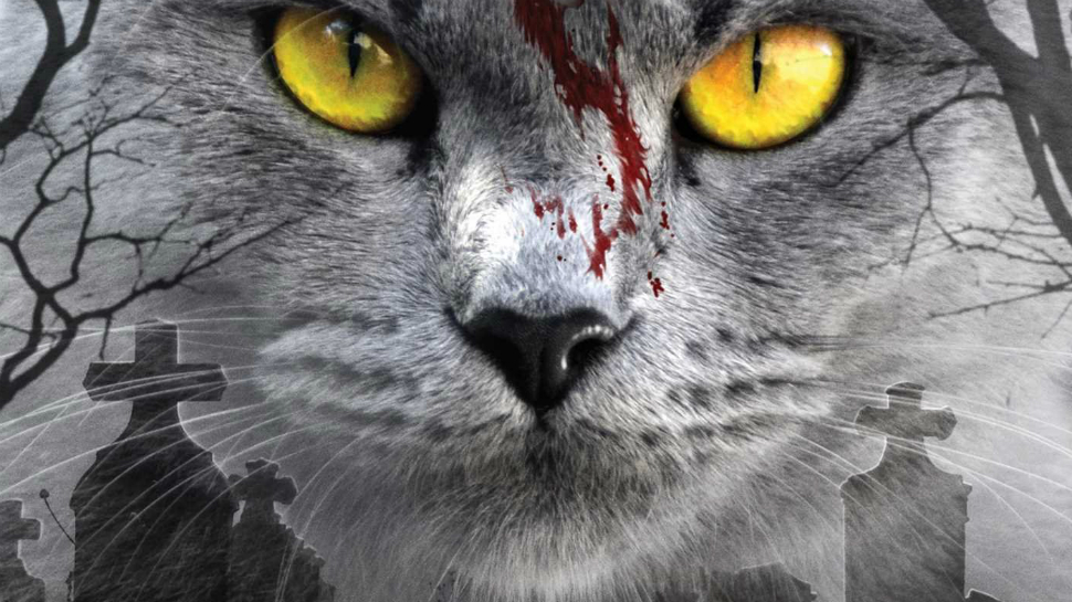 The First Images From the New PET SEMATARY Have Arrived - Nerdist