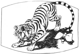 6 Characters We Want in the WIZARD OF OZ TV Series - Nerdist