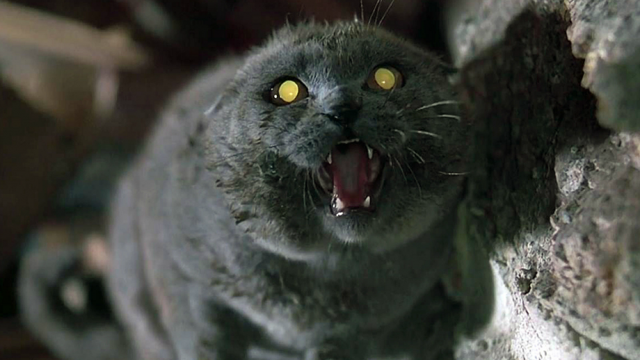 The 25 Best Movie Cats, Ranked - Nerdist