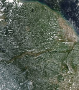 Everything You Need to Know About the Amazon Rainforest Fires - Nerdist