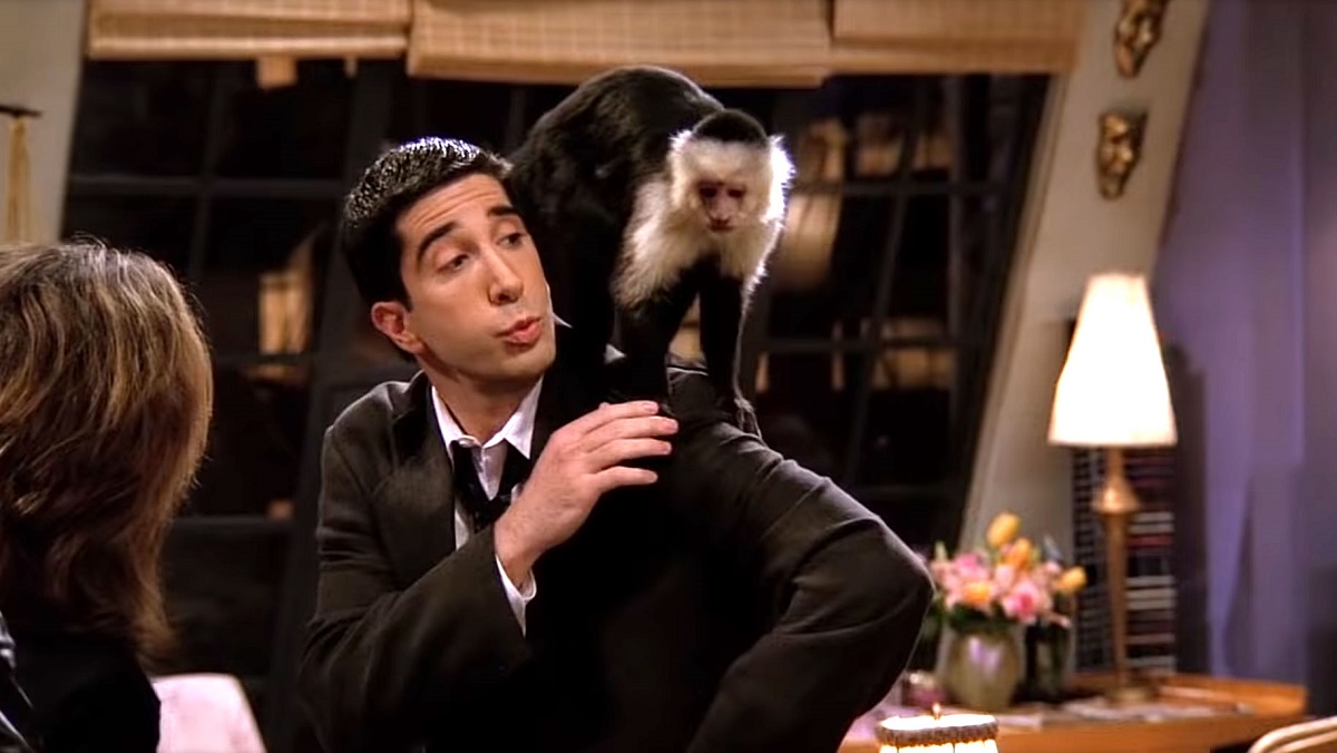 Y: THE LAST MAN on FX Will Star the Monkey from FRIENDS - Nerdist