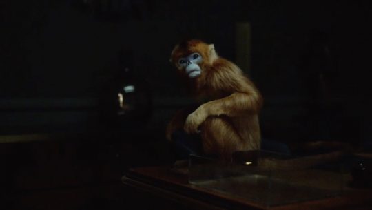 What We Know About Daemons on HIS DARK MATERIALS - Nerdist