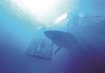 10 Claustrophobic Thrillers to Prepare You for UNDERWATER - Nerdist