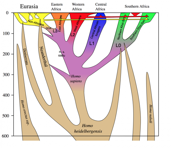 Some Modern Humans Derive from a "Ghost Lineage" - Nerdist