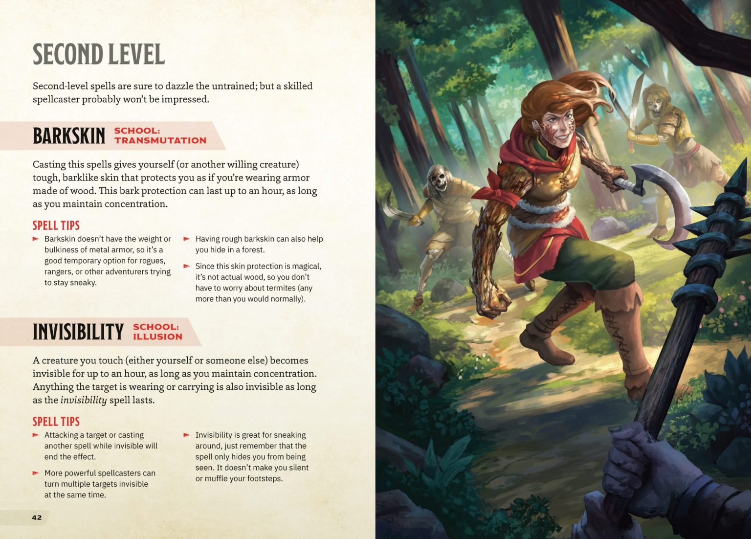WIZARDS & SPELLS Teaches Young Readers the Magic of D&D (Exclusive ...