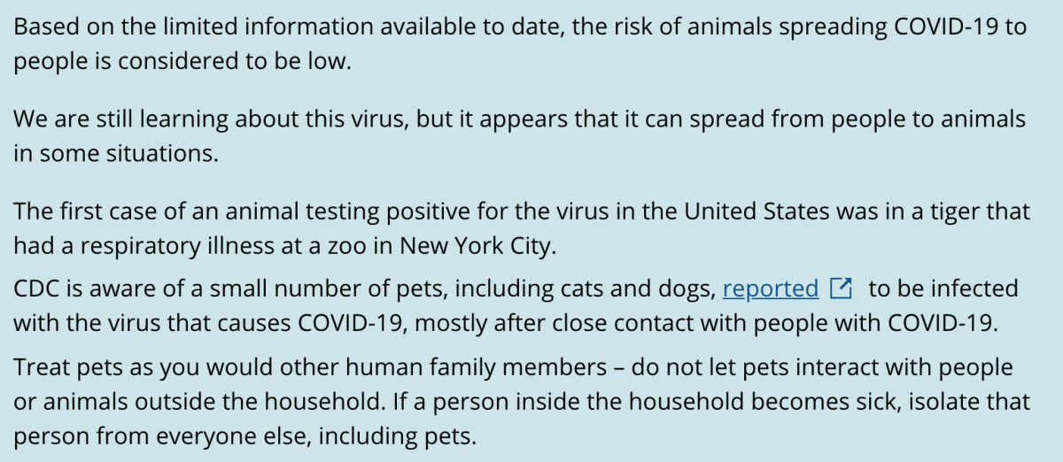 Two Pet Cats Test Positive for COVID-19 in New York - Nerdist