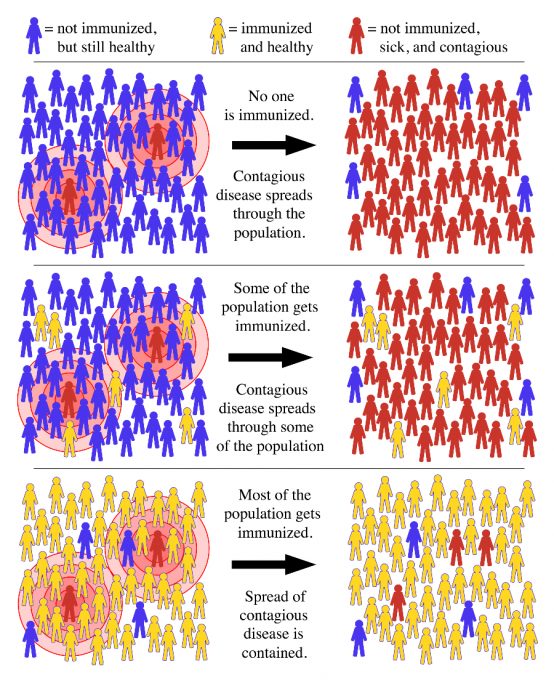 Answering 7 Key Questions About Serology Testing and COVID-19 - Nerdist