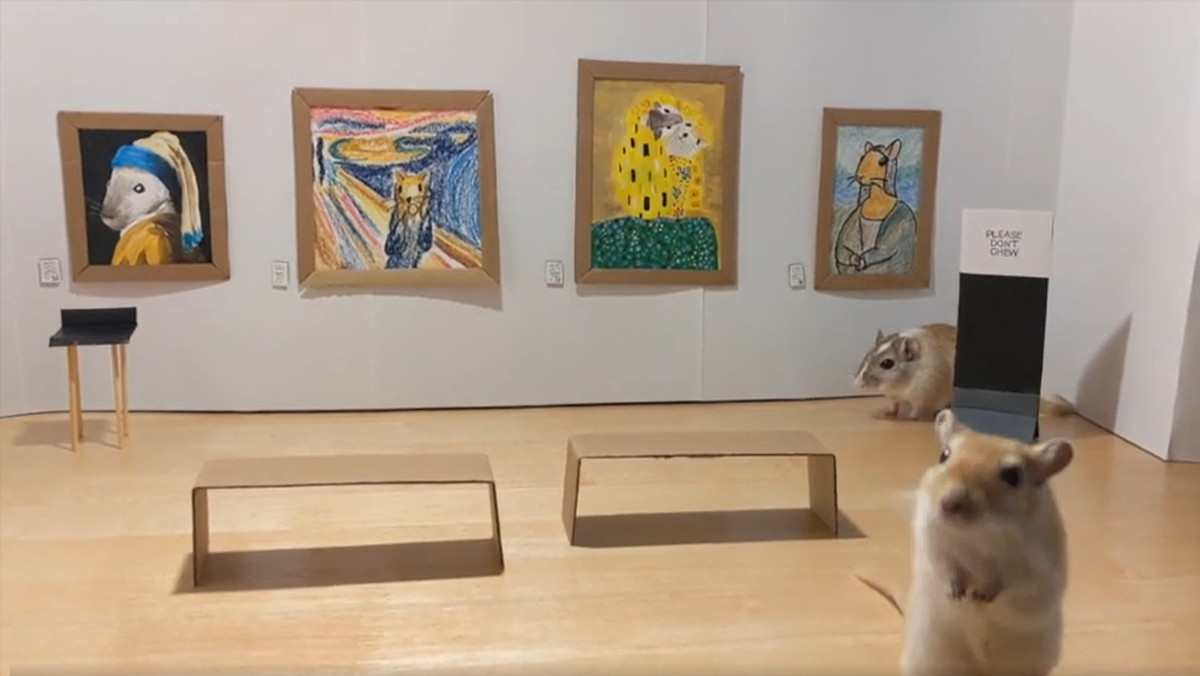 Bored Couple Makes a Tiny Museum for Their Gerbils - Nerdist