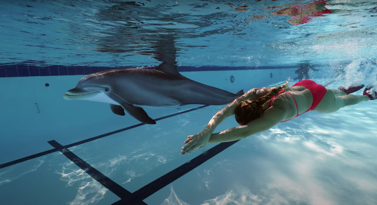 Robo-Dolphin May Pave The Way For WESTWORLD-Esque Creatures - Nerdist