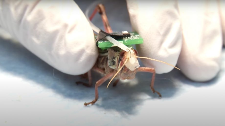 cyborg locusts Archives - Nerdist