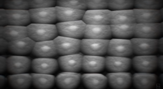 A Scientific Answer to the Question: 'Is Dust Mostly Skin?' - Nerdist