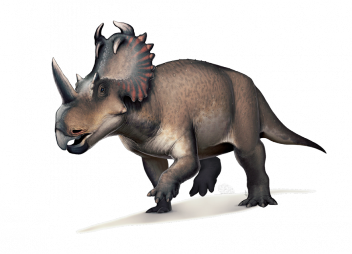 Researchers Discover Cancer in Dinosaur Fossil - Nerdist