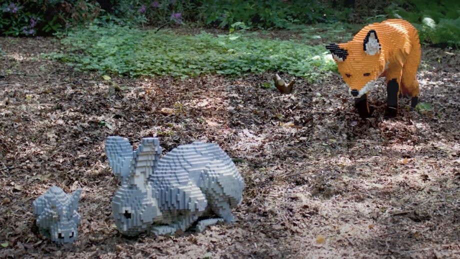 Artist Creates Menagerie of Lifelike LEGO Animals - Nerdist