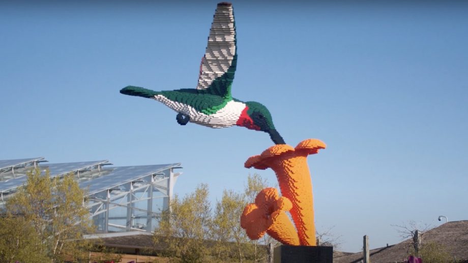 Artist Creates Menagerie of Lifelike LEGO Animals - Nerdist