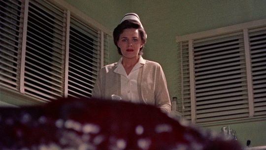 The Blob from THE BLOB Was Based on a Real-life... Blob - Nerdist