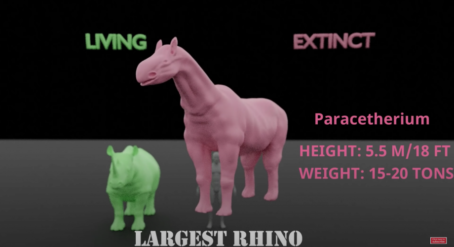 Video Compares Sizes of Living Animals and Extinct Ancestors - Nerdist