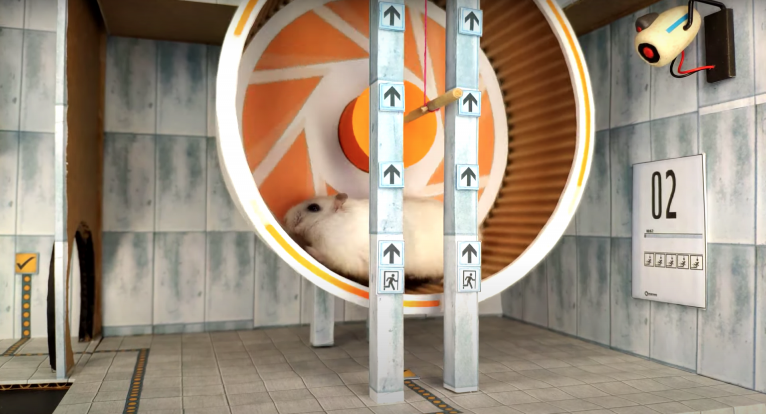 Adorable Hamster Beats a Video Game-Like Maze - Nerdist
