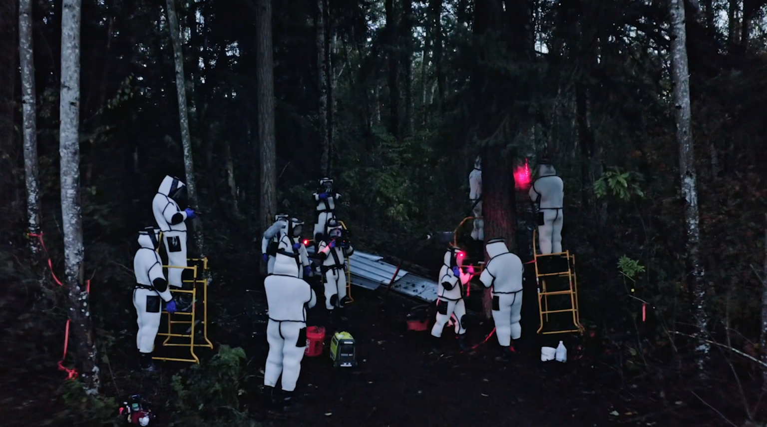 ATTACK OF THE MURDER HORNETS Director on Reality Becoming Sci-Fi - Nerdist