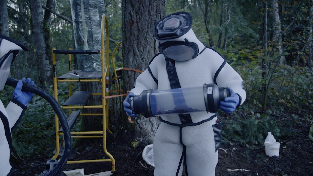 ATTACK OF THE MURDER HORNETS Director on Reality Becoming Sci-Fi - Nerdist