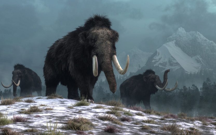 Oldest DNA Ever Found Belongs to Million-Year-Old Mammoth - Nerdist