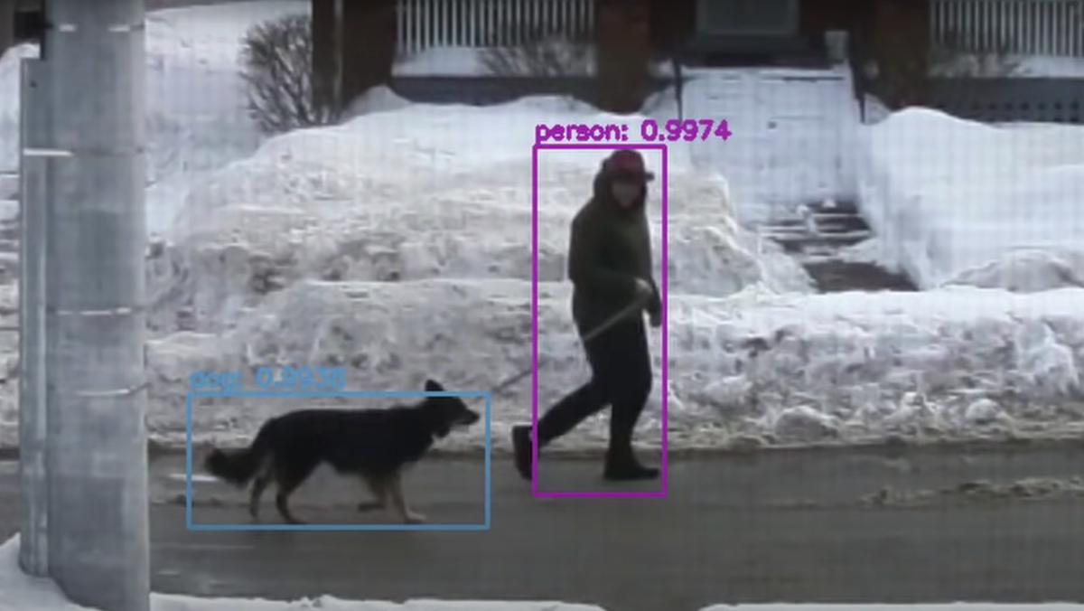 AI Machine Compliments Passing Dogs - Nerdist