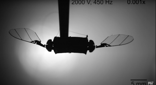 These Tiny Flying Robots Have the Speed and Stamina of a Fly - Nerdist