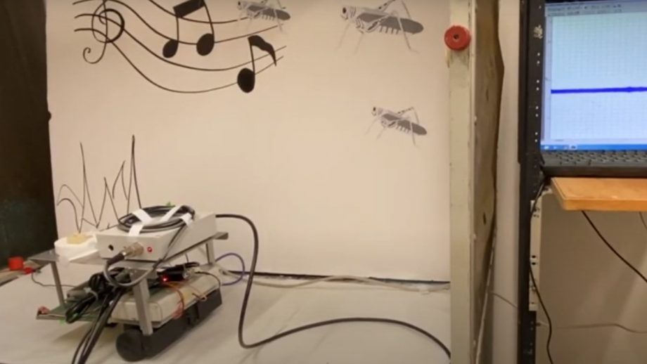 Meet Ear-bot: a Hybrid Robot Using a Dead Locust's Ear to Hear - Nerdist
