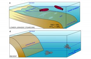 Today in Accidental Scientific Discoveries: Vampire Squid Fossil - Nerdist