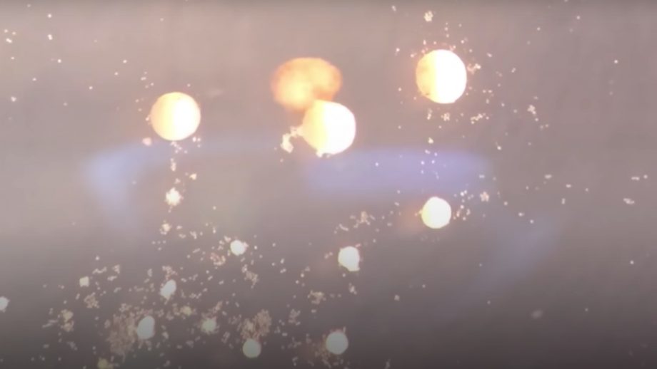 Living 'Xenobots' Are World's First Self-Replicating Robots - Nerdist