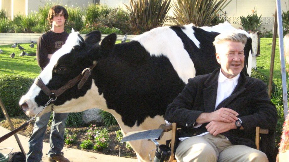 An Ode to David Lynch's Oscar Campaign for Laura Dern - Nerdist