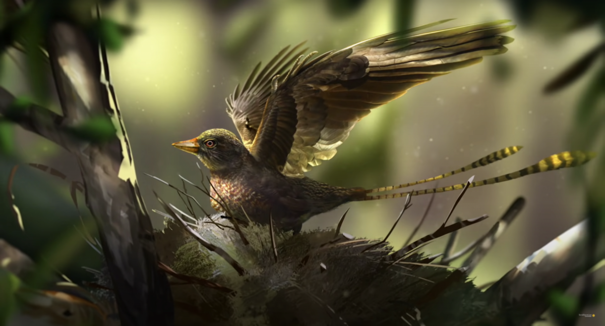 Amazingly Preserved Bird Fossils Reveal Links to Dinosaurs - Nerdist
