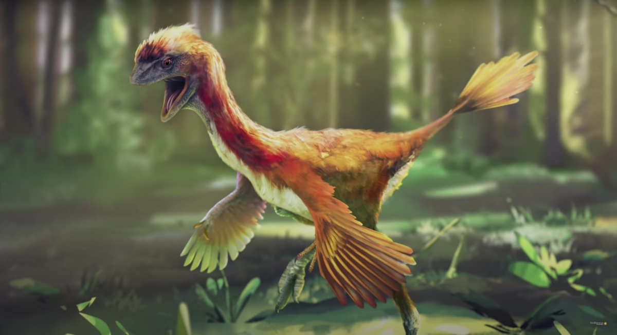 Amazingly Preserved Bird Fossils Reveal Links to Dinosaurs - Nerdist