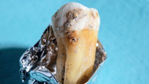 Neanderthals Also Loved Carbs - Their Teeth Prove It - Nerdist