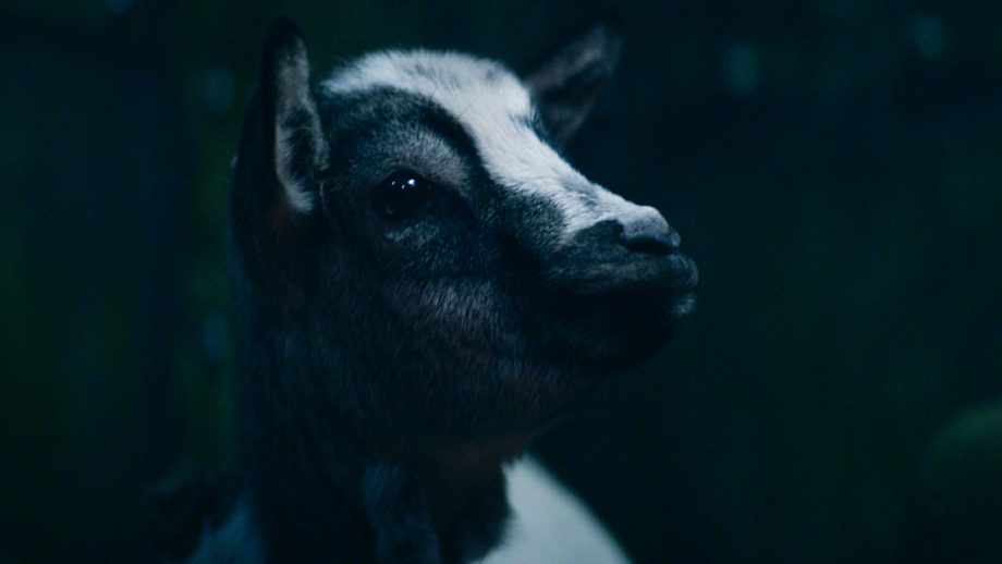 We Talk with SHADOW AND BONE's Kit Young About Milo the Goat - Nerdist