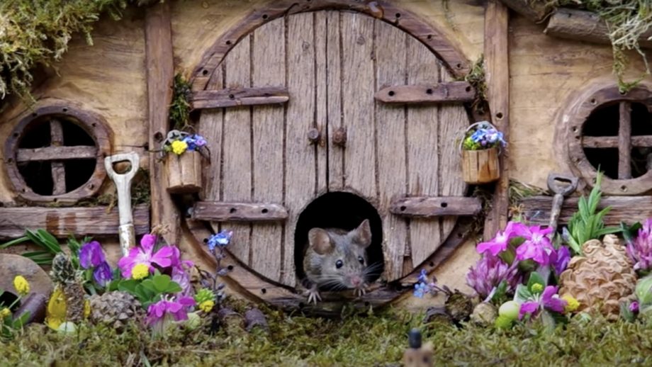 Wildlife Photographer Makes Mini Hobbit Shire for Mice - Nerdist