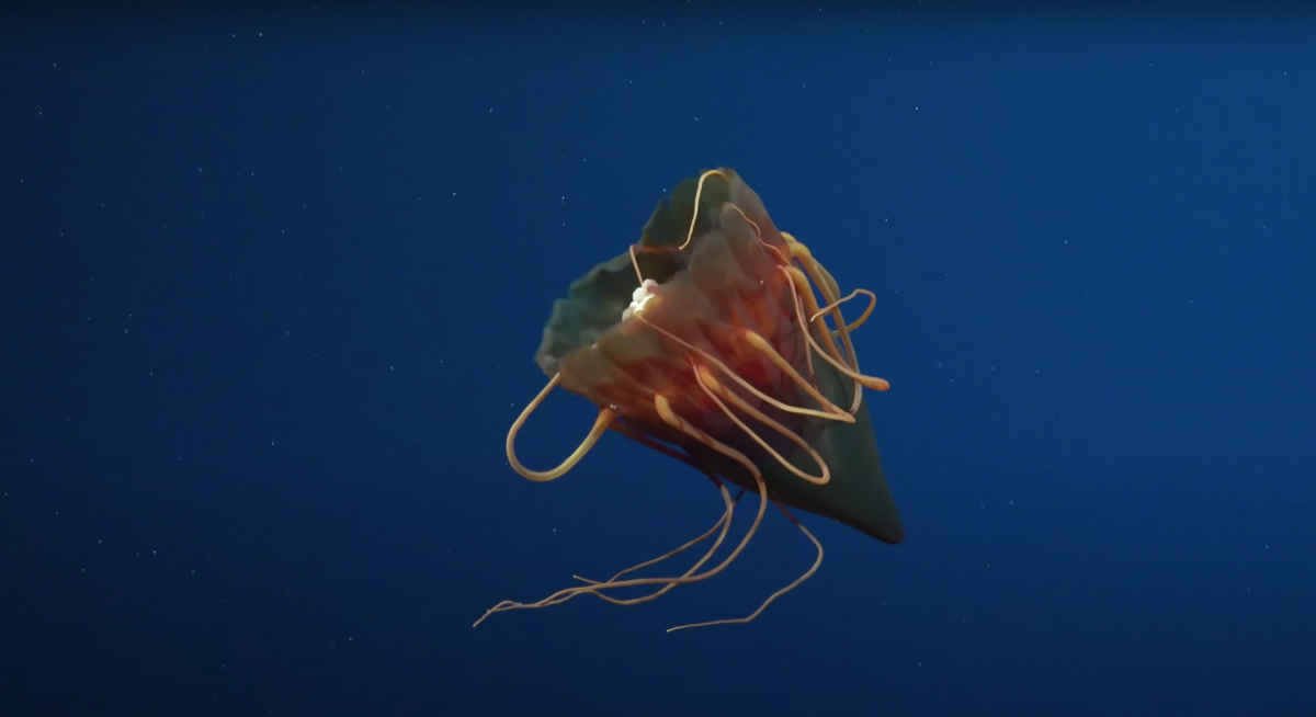 Deep Ocean Highlight Reel Shows a Gorgeous Glass Octopus - Nerdist