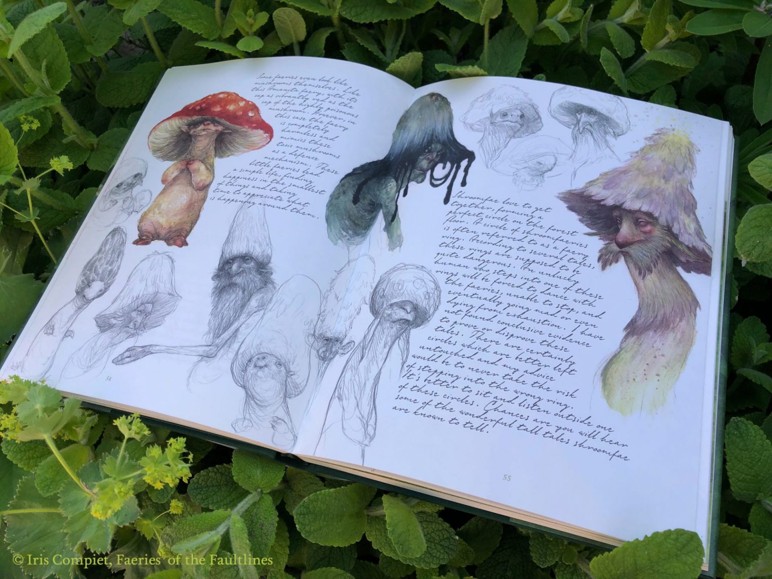 Journey into FAERIES OF THE FAULTLINES with Iris Compiet - Nerdist