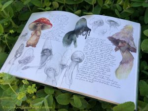 Journey into FAERIES OF THE FAULTLINES with Iris Compiet - Nerdist