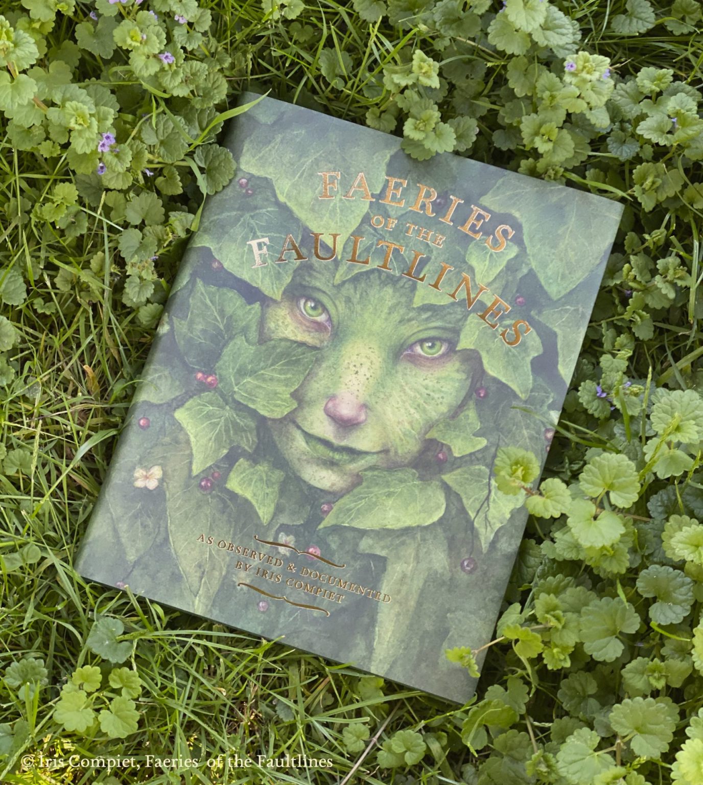 Journey into FAERIES OF THE FAULTLINES with Iris Compiet - Nerdist