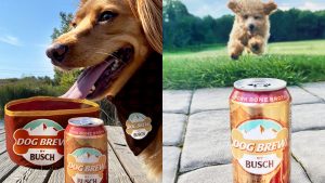 Busch’s ‘Dog Beer’ Lets You Have a Cold One With Your Canine - Nerdist