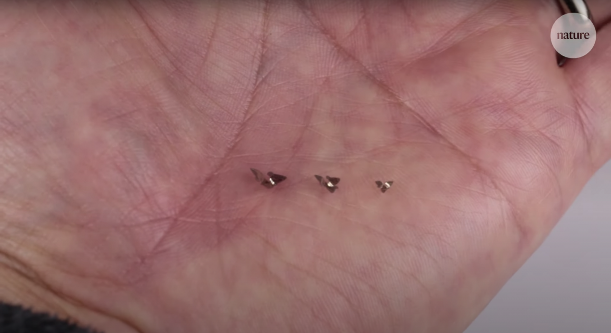 Airborne Microbots Will Float in the Wind Like Seeds - Nerdist