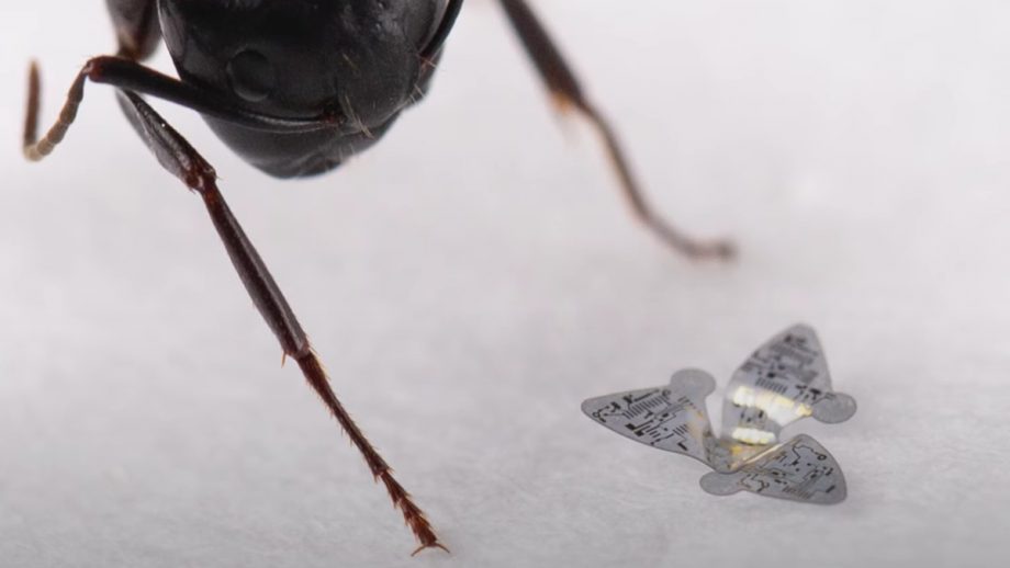 Airborne Microbots Will Float in the Wind Like Seeds - Nerdist