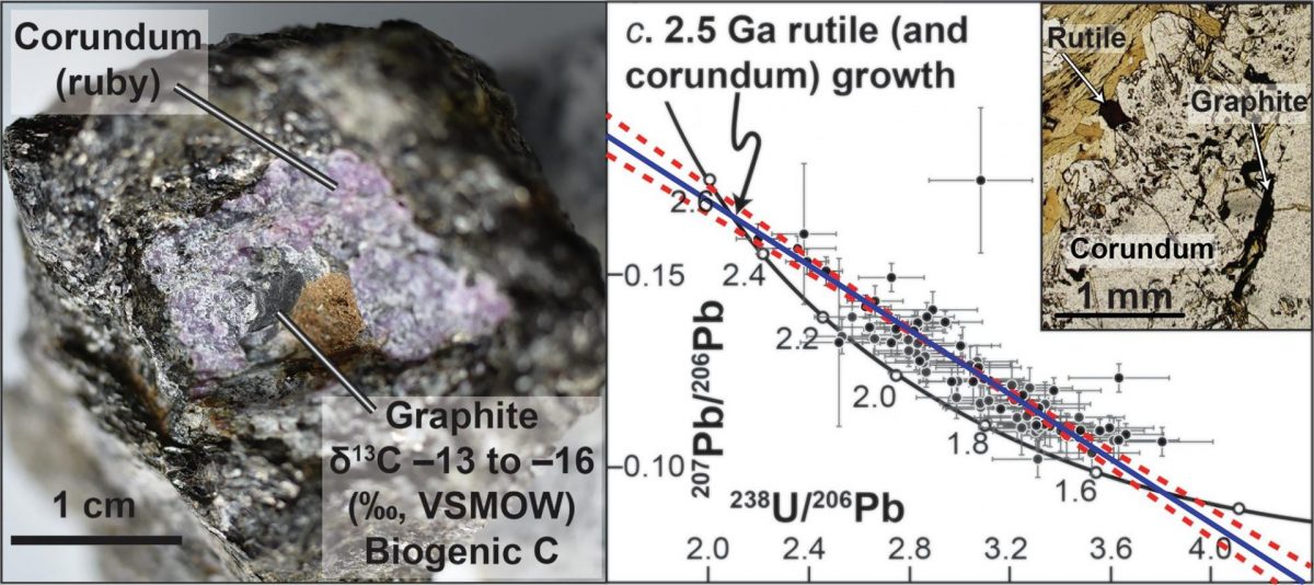 Ancient Ruby Is a Home to 2.5-Billion-Year-Old Life Forms - Nerdist