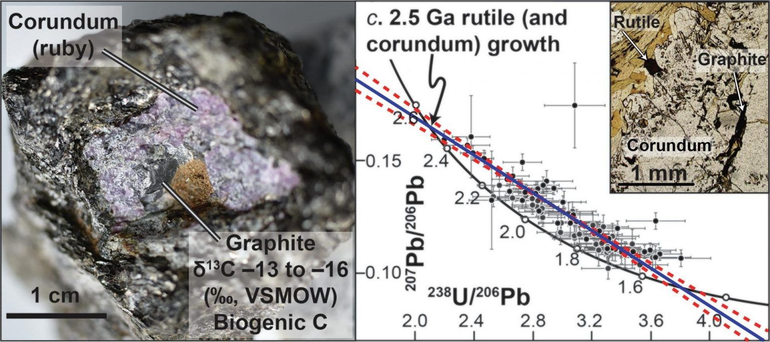 Ancient Ruby Is a Home to 2.5-Billion-Year-Old Life Forms - Nerdist