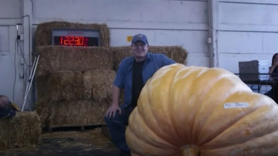 Watch This 1,223 Pound Giant Pumpkin Grow Before Your Eyes - Nerdist