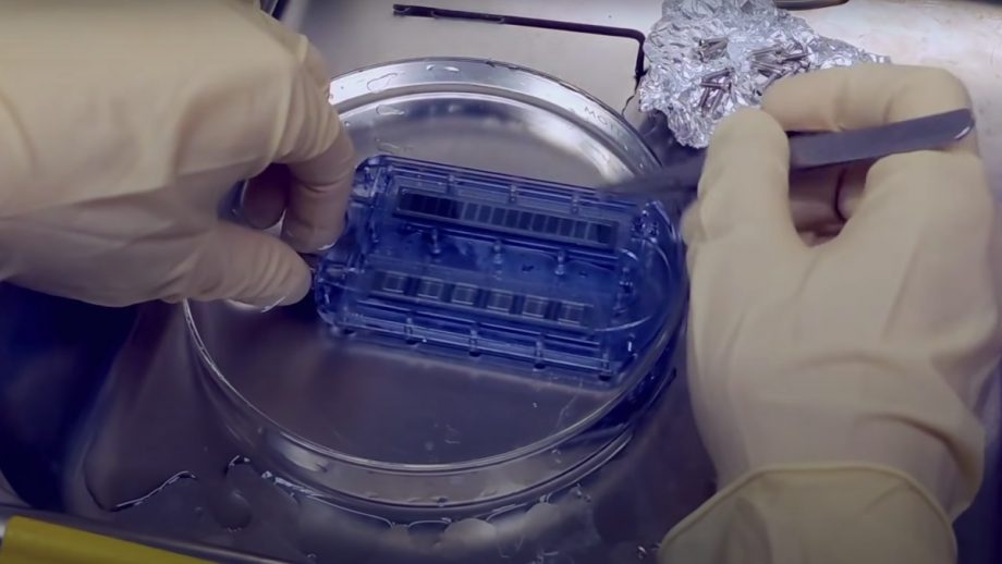 Award Winning Artificial Kidney Is a Biomedical Breakthrough - Nerdist