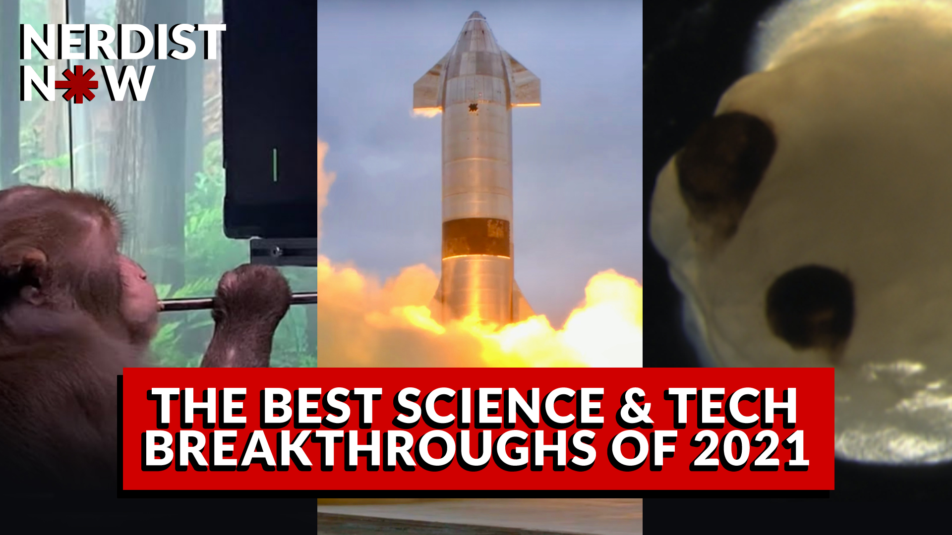 The Best Tech and Science Breakthroughs of 2021 (Nerdist Now w/ Dan ...