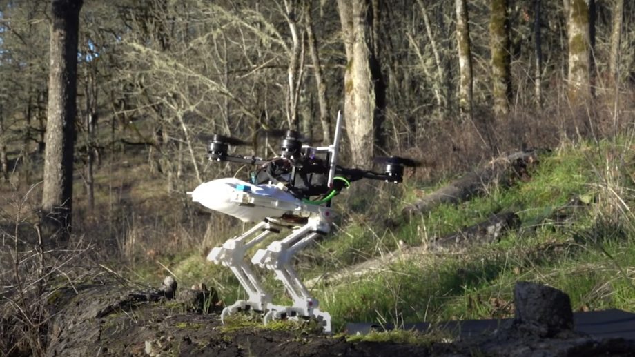 Flying Bird Bot Uses Its Falcon-Like Legs to Land on Stuff - Nerdist